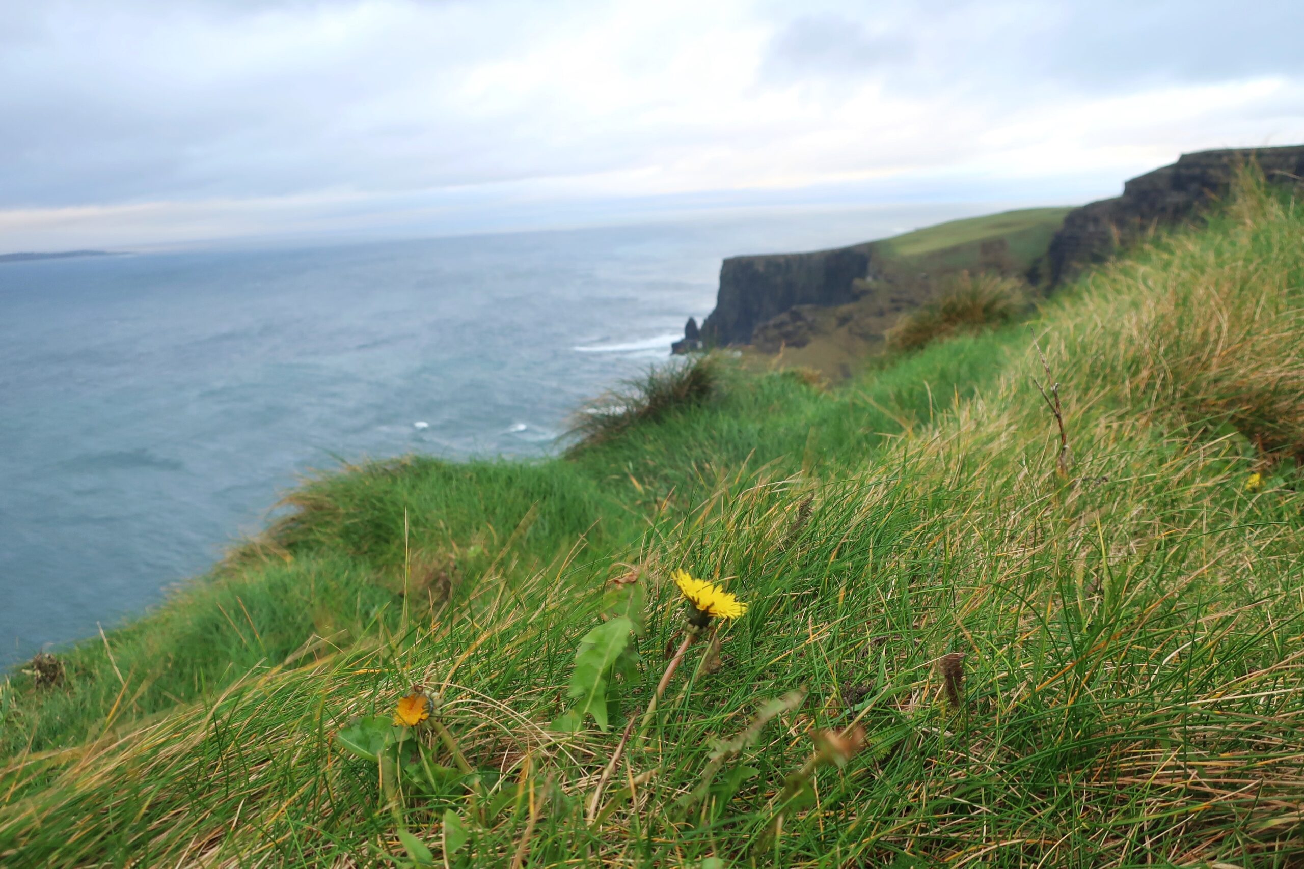 5 Day Ireland Itinerary: Dublin, Galway, Cliffs of Moher & Ring of ...