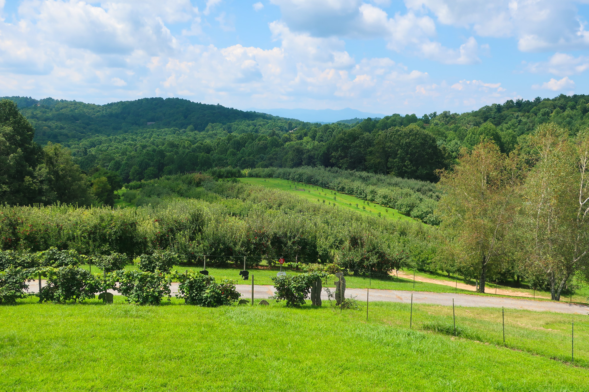 How to Support Western North Carolina in 2025: Relief, Aid & Recovery