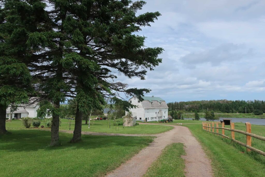 Visiting Anne of Green Gables in Prince Edward Island - accent golden